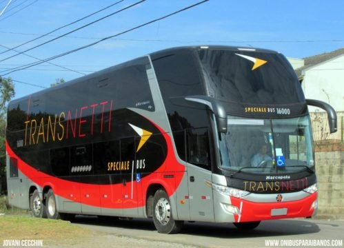 w (19) - Ônibus & Transporte
