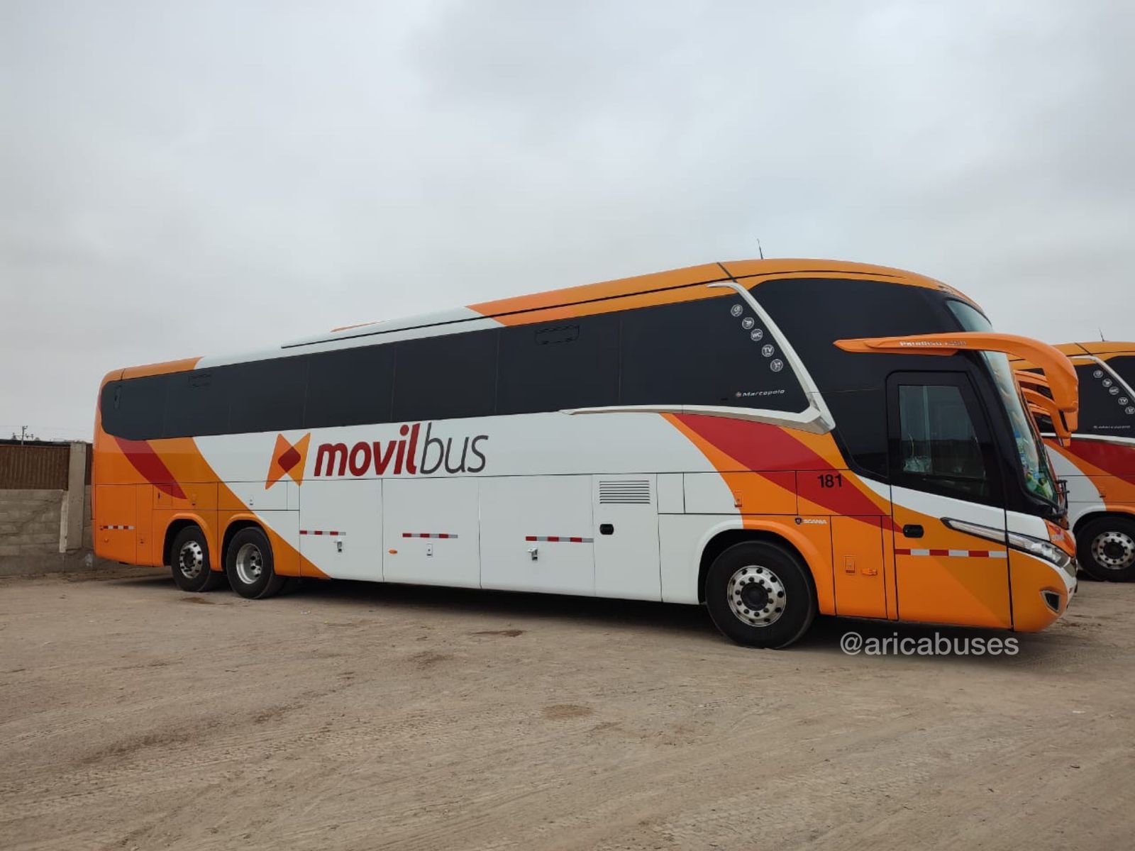 Peruana Movil Bus traz novo ônibus com carrocerias Marcopolo e Irizar ...