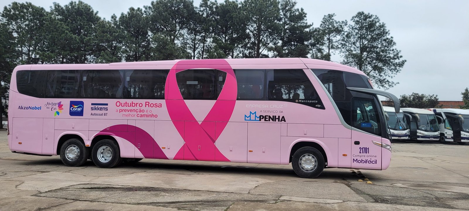 Outubro Rosa: ônibus pintados de rosa conscientizam sobre câncer de ...
