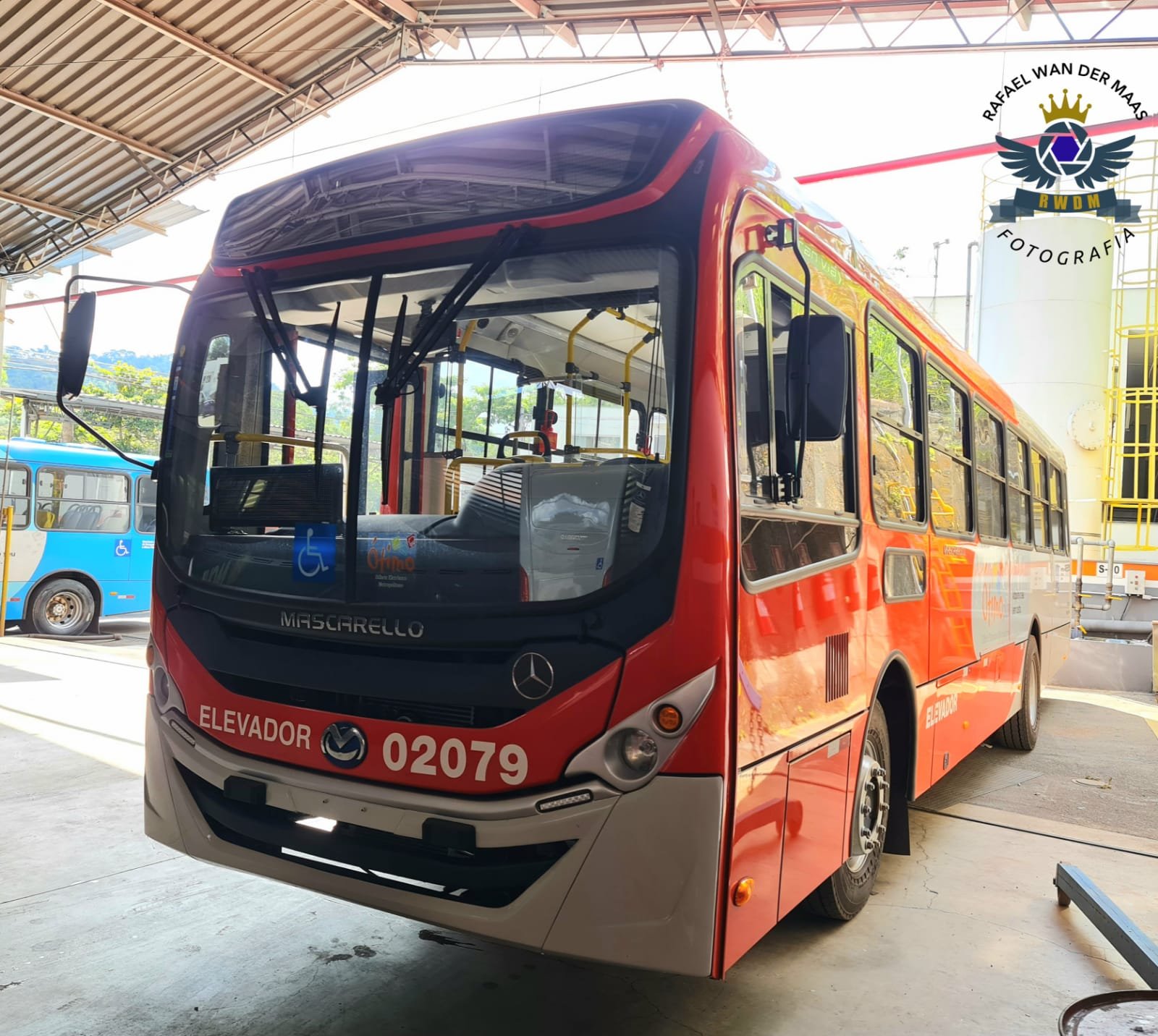 Vianel adquire seus primeiros ônibus Mascarello - Ônibus & Transporte