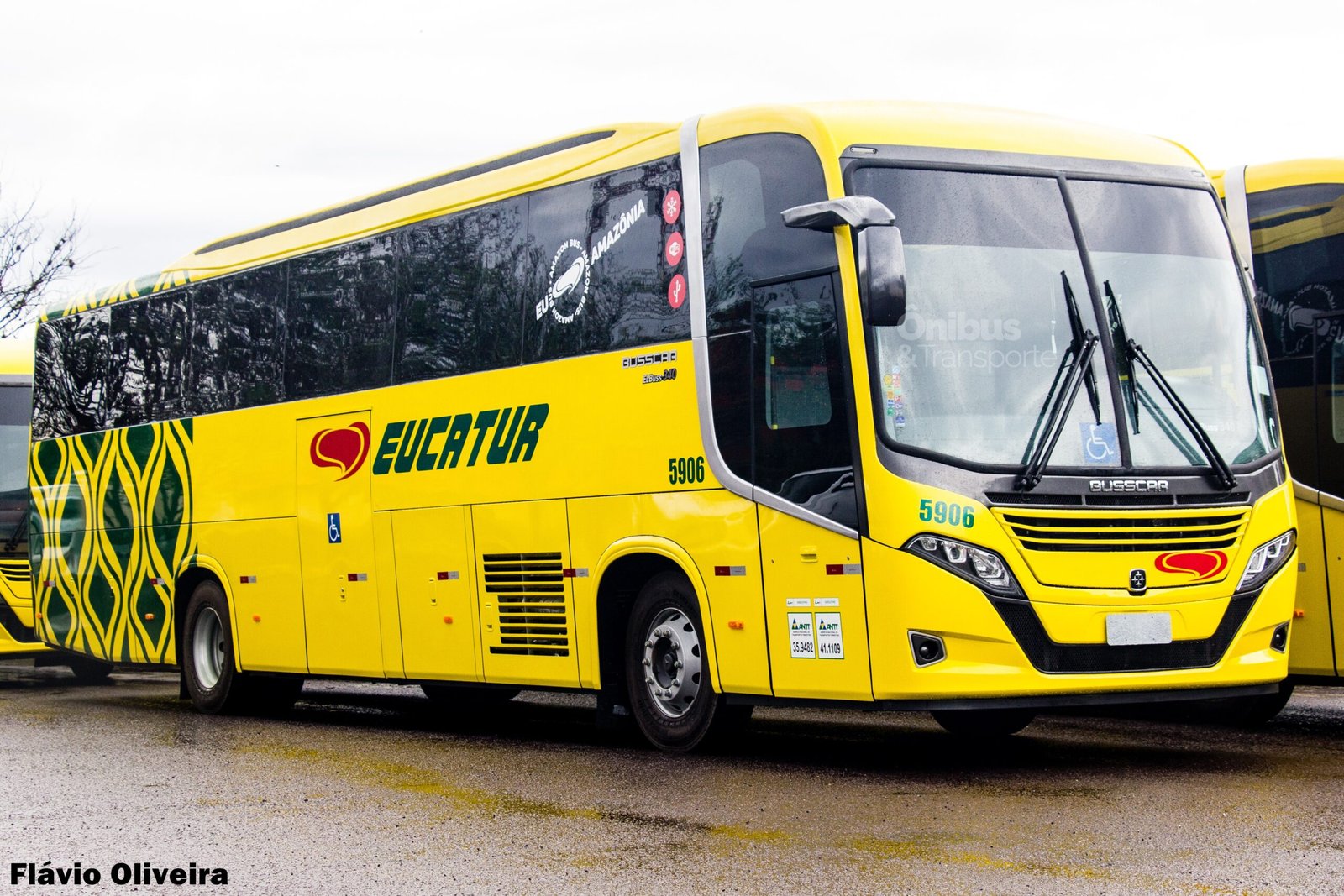 Conheça os primeiros El Buss 340 da Eucatur - Ônibus & Transporte