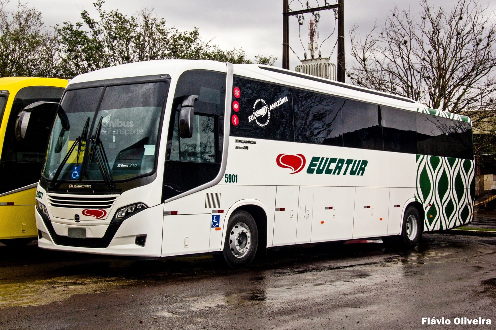 Conheça os primeiros El Buss 340 da Eucatur - Ônibus & Transporte