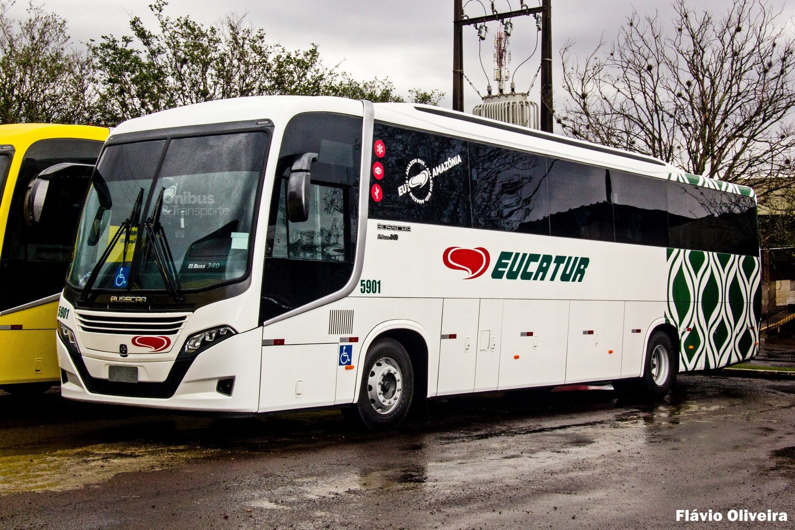 Conheça os primeiros El Buss 340 da Eucatur - Ônibus & Transporte