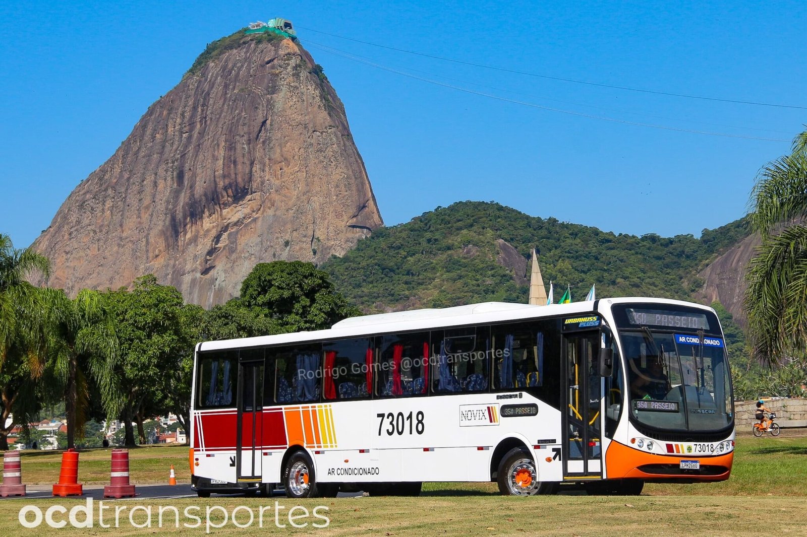 Admiradores matam a saudade de pinturas icônicas de empresas de ônibus ...